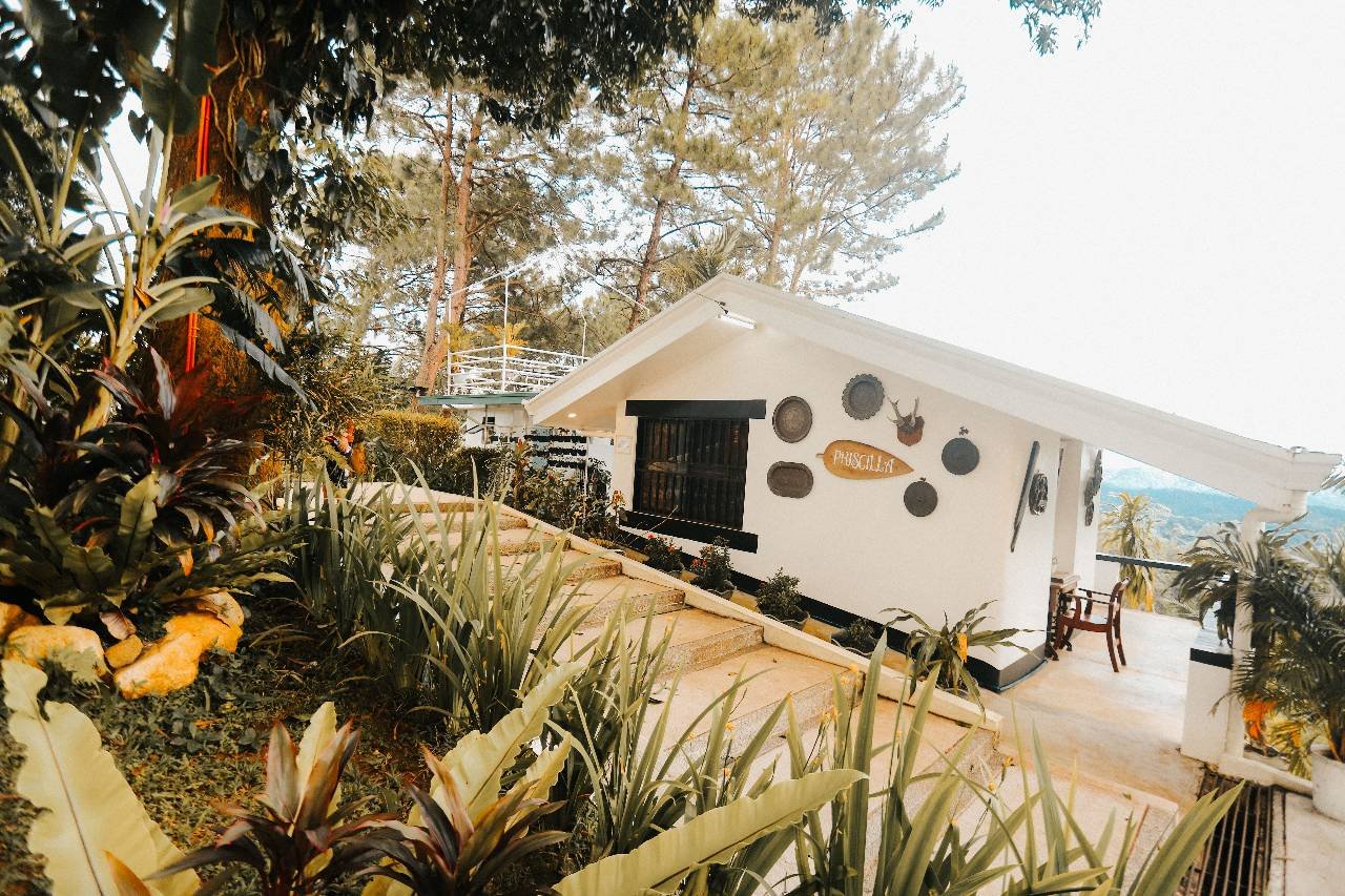 House of Priscilla - QALMARA